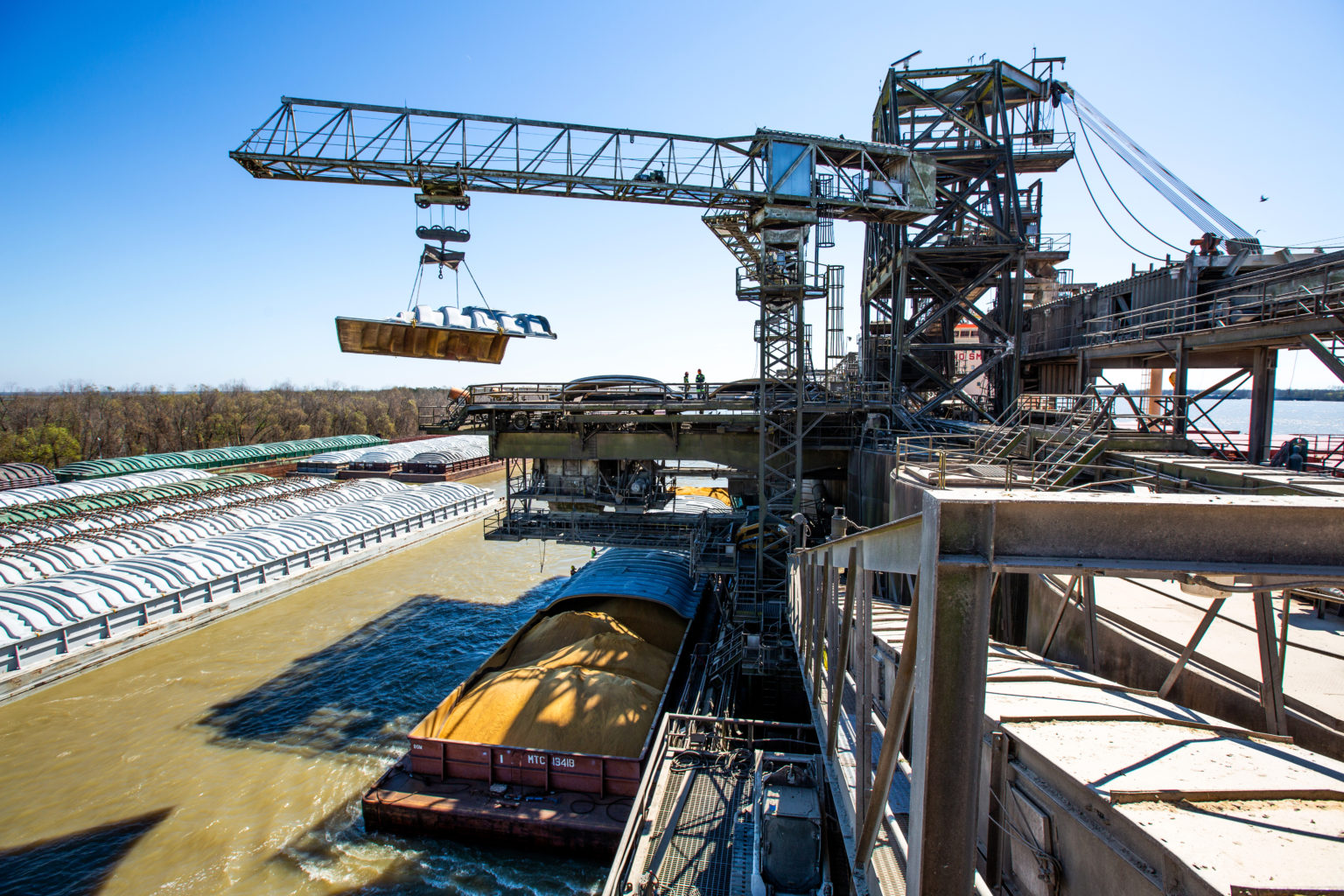 Myrtle Grove / MGMT – Associated Terminals